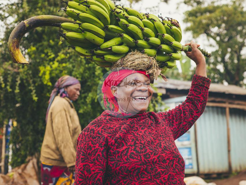 Harvest Festival | Teaching Resources