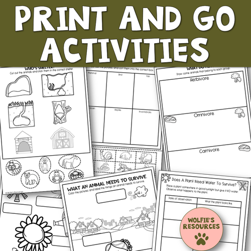 What Animals And Plants Need To Survive | Teaching Resources