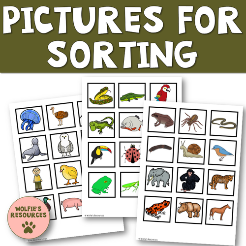What Animals And Plants Need To Survive | Teaching Resources
