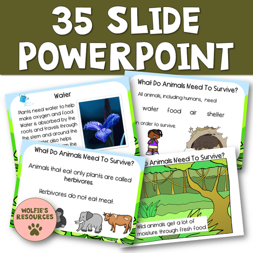 What Animals And Plants Need To Survive | Teaching Resources