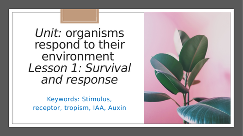 3.6.1.1 L1 Survival and response (AQA A-level) | Teaching Resources