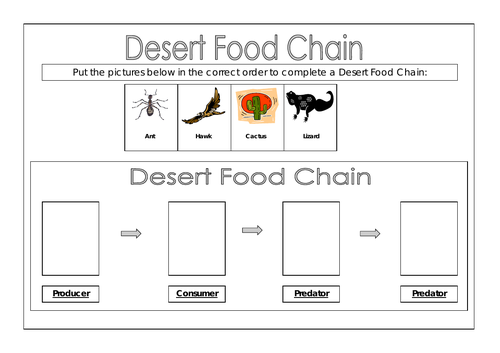 Year 4 -Science - Food Chains | Teaching Resources