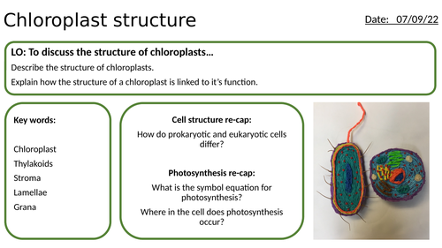 AS/A2-Level AQA Biology Chloroplast Structure Full Lesson | Teaching ...