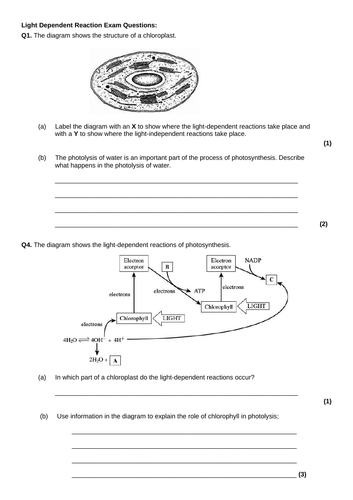AS/A2-Level AQA Biology Light dependent reaction of photosynthesis Full ...