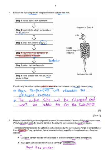 Igcse Biology 0610 Unit Enzymes Topical Questions Paper 4 Teaching
