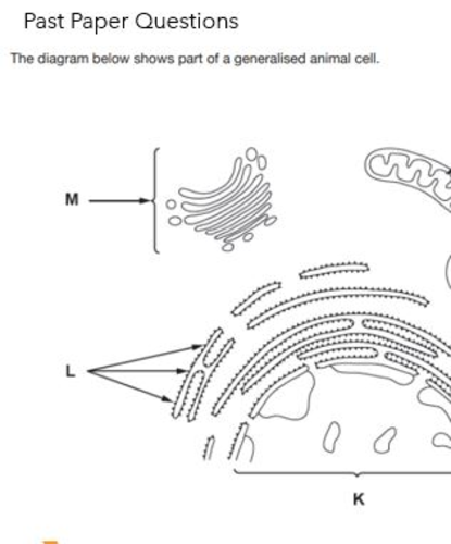 WJEC/EDUQAS AS Biology Unit 1.2 - Cell Structure & Organisation ...