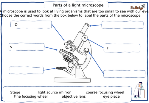 Parts of a light microscope | Teaching Resources