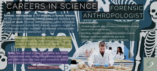 Careers in Science Displays | Teaching Resources