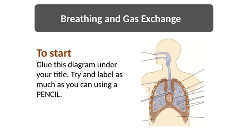 KS3 Year 7 - Structure and Function: Breathing | Teaching Resources