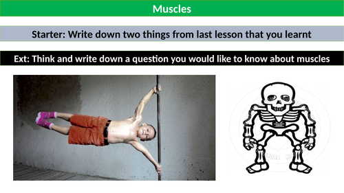 KS3 Year 7 - Structure and Function: Muscles | Teaching Resources