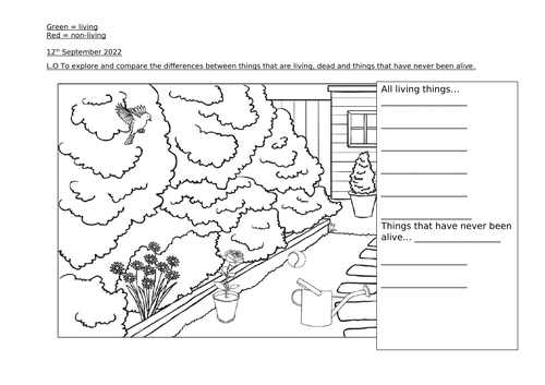 Living/non living differentiated x 3 worksheet | Teaching Resources