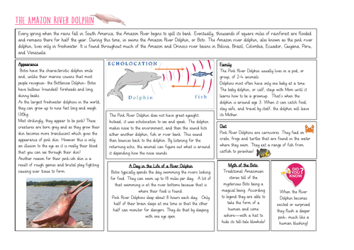 Non-fiction Amazon Dolphin Comp | Teaching Resources