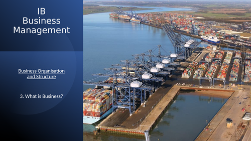 Business Management IB 1.1 - 3 What is Business? | Teaching Resources