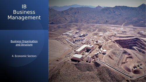 Business Management IB 1.1 - 4 Economic Sectors | Teaching Resources