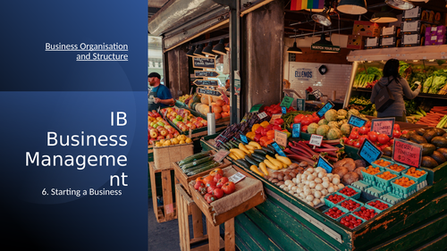 Business Management IB 1.1 - 6 Starting a Business | Teaching Resources