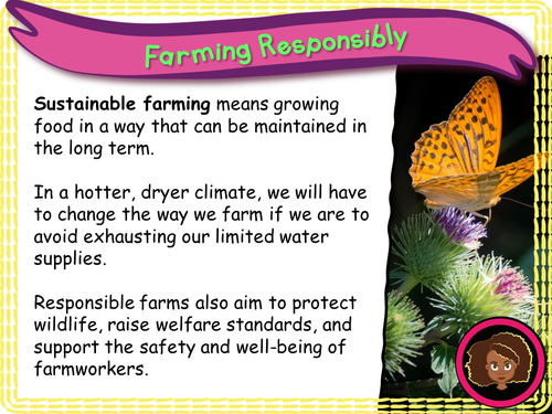 Sustainability - Food Security | Teaching Resources