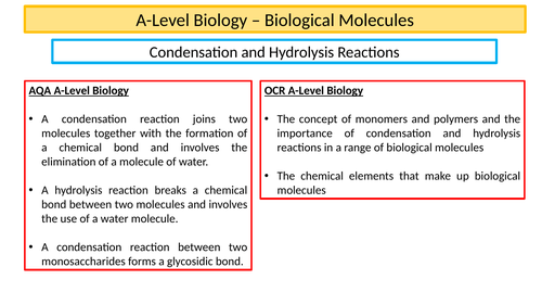 Condensation & Hydrolysis Reactions A-Level Biology | Teaching Resources