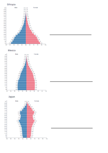 1.6 Population Pyramids | Teaching Resources