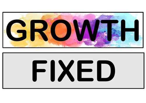 Growth VS Fixed Mindset Display | Teaching Resources