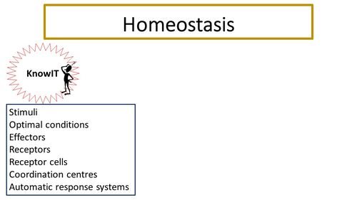 Homeostasis Lesson 1- Flip Learning Task Sheets | Teaching Resources