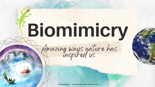 Science - Biomimicry (KS2) | Teaching Resources