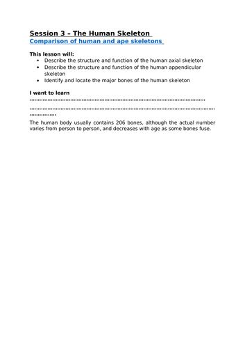 The Human Skeleton - Divisions and Bones | Teaching Resources