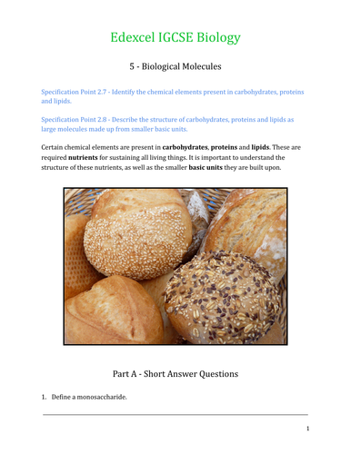 Edexcel IGCSE Biology Worksheet 5 - Biological Molecules | Teaching ...