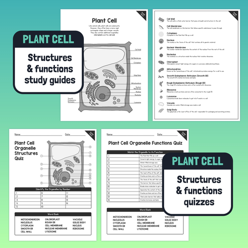 Plant & Animal Cell Structures Functions Unit | Organelle Study Guides ...