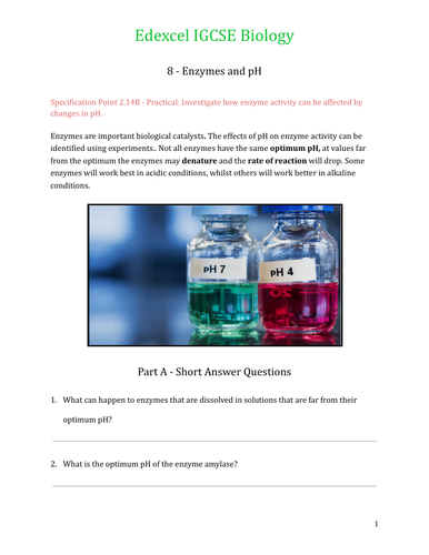 Edexcel IGCSE Biology Lesson 8 - Enzymes and pH | Teaching Resources