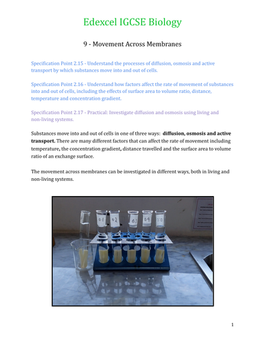 Edexcel IGCSE Biology Worksheet 9 - Movement Across Membranes ...