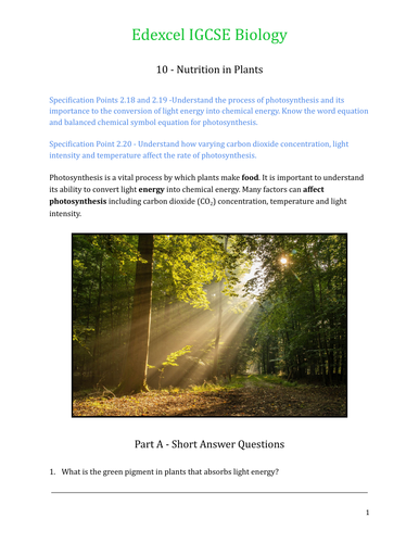 Edexcel IGCSE Biology Lesson 10 - Nutrition in Plants | Teaching Resources