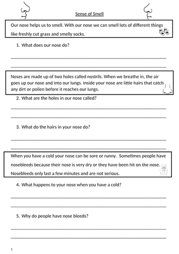 Senses Comprehension - Smell | Teaching Resources