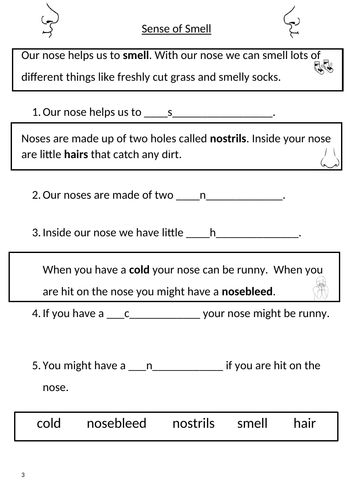 Senses Comprehension - Smell | Teaching Resources