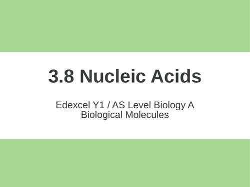 OCR Nucleotides, RNA and DNA structure | Teaching Resources