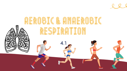 Aerobic & Anaerobic Respiration ppt + | Teaching Resources