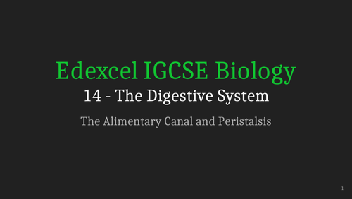 Edexcel IGCSE Biology Lesson 14 - The Digestive System | Teaching Resources