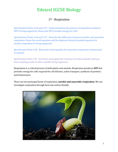 Edexcel IGCSE Biology Worksheet 17 - Respiration | Teaching Resources Edexcel IGCSE Biology Worksheet 17 - Respiration | Teaching Resources