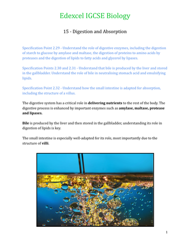 Edexcel IGCSE Biology Worksheets Chapter 2 - Nutrition and Respiration ...
