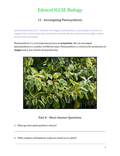Edexcel IGCSE Biology Worksheets Chapter 2 - Nutrition and Respiration ...