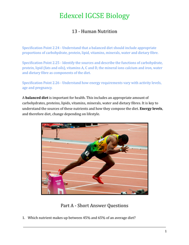 Edexcel IGCSE Biology Worksheets Chapter 2 - Nutrition and Respiration ...