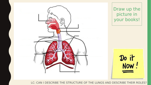 CTEC Sport: Unit 1 Body Systems - LO4 Respiratory System | Teaching ...