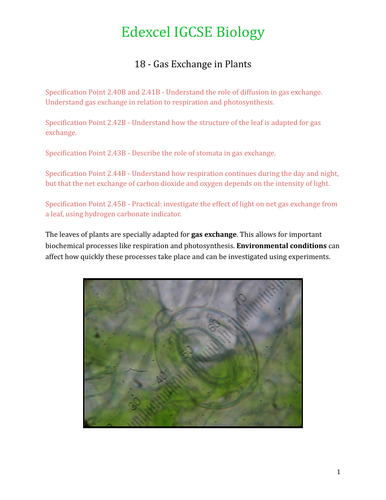 Edexcel IGCSE Biology Worksheets Chapter 3 - Movement of Substances ...