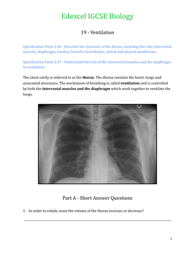 Edexcel IGCSE Biology Worksheets Chapter 3 - Movement of Substances ...