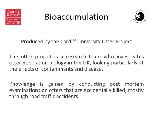 KS3/KS4 Bioaccumulation featuring otters | Teaching Resources