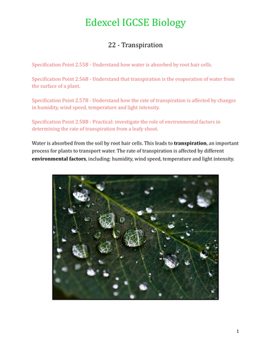Edexcel IGCSE Biology Worksheet 22 - Transpiration | Teaching Resources Edexcel IGCSE Biology Worksheet 22 - Transpiration | Teaching Resources