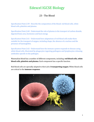 Edexcel IGCSE Biology Lesson 23 - The Blood | Teaching Resources Edexcel IGCSE Biology Lesson 23 - The Blood | Teaching Resources