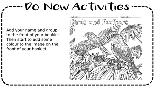 Birds and Feathers Full Scheme of work | Teaching Resources
