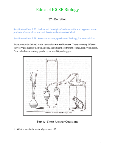 Edexcel IGCSE Biology Worksheet 27 - Excretion | Teaching Resources Edexcel IGCSE Biology Worksheet 27 - Excretion | Teaching Resources