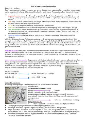 GCSE CCEA Double Award Biology Breathing and Respiration | Teaching ...