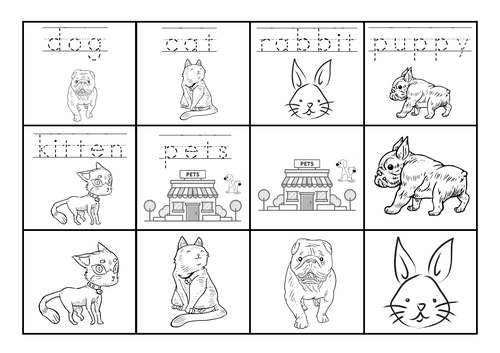 Our Pets 12 Activity Sheets EYFS and KS1 | Teaching Resources
